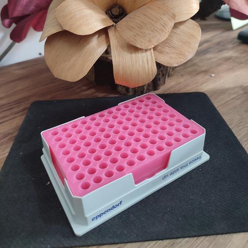 Jual Eppendorf PCR Cooler Pink 0.2 ml Eppendorf 3881000023 - Kota ...