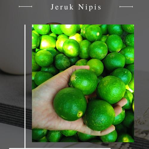 Jual Jeruk Nipis Buah 1 Kilo Gram - 1 kg - Jakarta Barat - Jwest ...