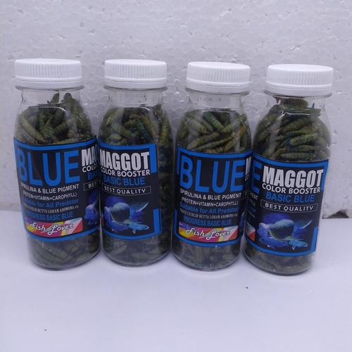 Jual Maggot Kering Blue Color Booster Terbukti Mantab Buat Channa Dll ...