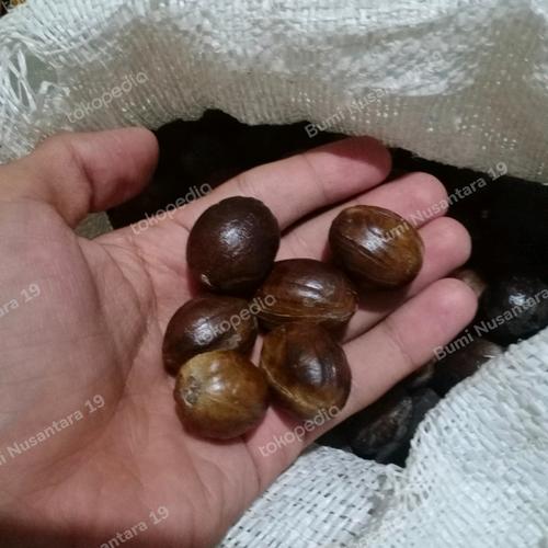 Jual biji pala utuh 1kg whole nutmeg - 500 gram - Kab. Solok ...