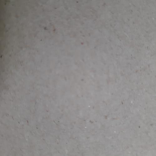 Jual tanaman ibu maryam j - Kota Tangerang Selatan - FIDELYA PLANTS ...