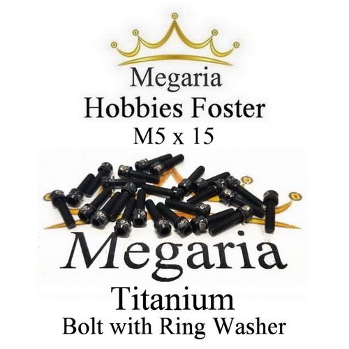 Jual Baut Ti M5 x 15 Baut Titanium Bolt Washer Lightweight Muqzi m5x15 ...