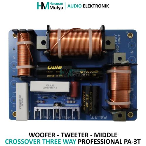 Jual Professional PA-3T Crossover Three Way / 3 Way (Woofer Tweeter ...