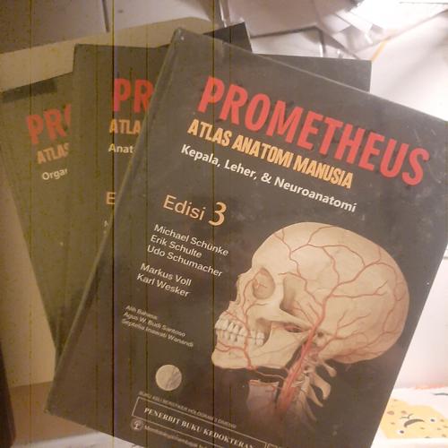 Jual atlas anatomi manusia prometheus edisi 3 - Kab. Bantul - mangakun mangachan | Tokopedia