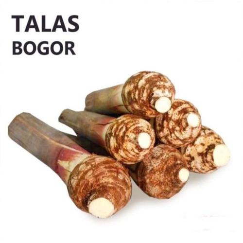 Jual Buah Talas Bogor - 1 Buah - Jakarta Selatan - PASAR JAYA KEBAYORAN ...