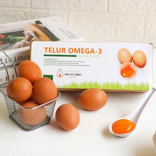 Promo Telur Ayam Negri Omega 3 Fresh (10 Butir)/Box Premium Quality ...