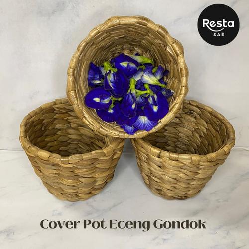 Jual Pot Mini Anyaman Enceng Gondok/Cover Pot Tanaman/Tempat serbaguna ...