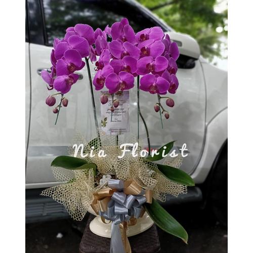 Jual Bunga Meja Tanaman Anggrek Gift Hadiah Hiasan - Putih - Jakarta ...