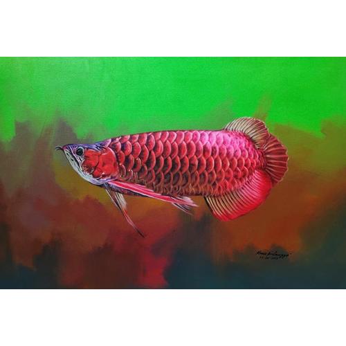 Jual Lukisan Ikan Arwana Super Red Memiliki Warna Serta Sisik Mengagumkan Kota Surakarta
