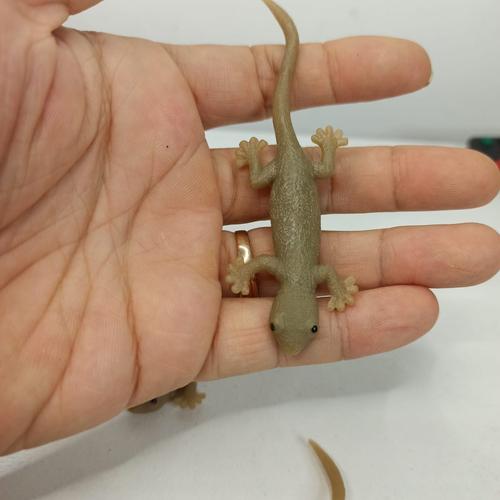 Jual mainan cicak karet mirip asli warna coklat abu - Jakarta Barat ...