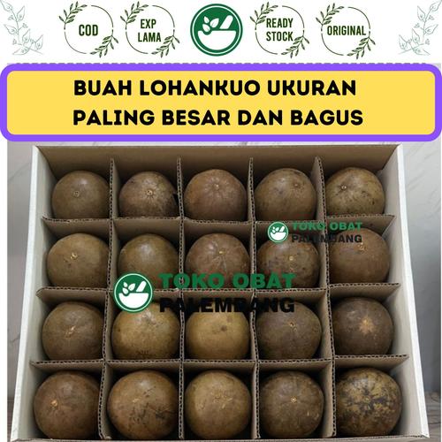 Promo LOHANKUO BUAH BESAR 1 BUAH LO HAN KUO LOHANGUO LO HAN GUO 1 BUAH ...