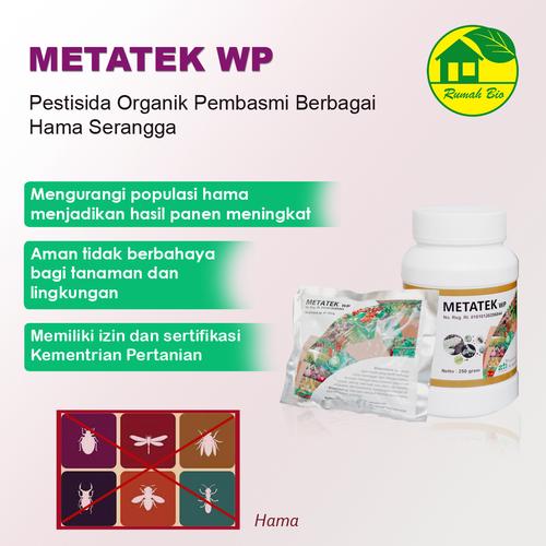 Jual Metatek insektisida alami dengan kandungan utama Metharizium ...