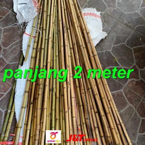 Jual bambu batangan lurus panjang 200cm - Jakarta Selatan ...