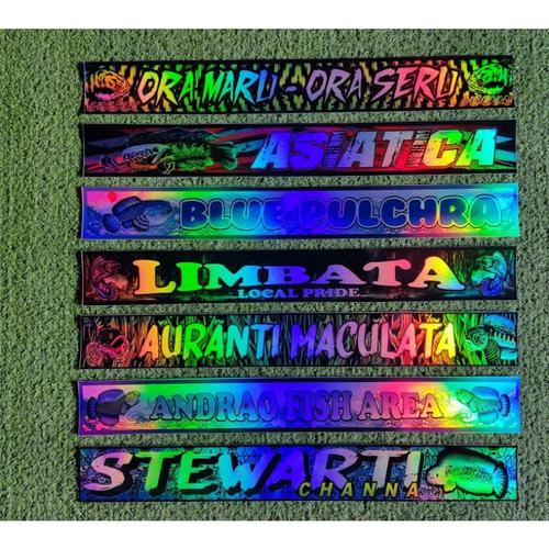 Jual STIKER AKUARIUM HOLOGRAM IKAN CHANNA - 6. LIMBATA, HLG 50x5cm ...