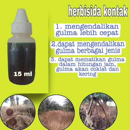 Jual repack racun rumput mati cepat 15 ml / racun rumput ampuh - Kab ...