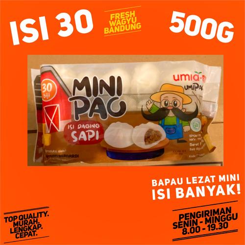 Jual UMIAMI MINIPAO DAGING SAPI HALAL ISI 30 Mini Pao Bernardi Weiwang ...