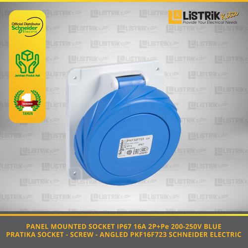 Jual PLUGIN SCHNEIDER PANEL SOCKET ANGLED PK PRATIKA SCREW 32A ...