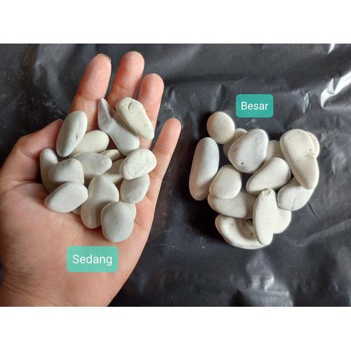 Jual Batu Koral Putih Hiasan Aquarium/Taman 1 pack - Besar - Kota Batam ...
