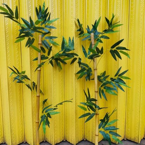 Jual bambu partisi satuan - Kota Bogor - taman bunga plastik | Tokopedia