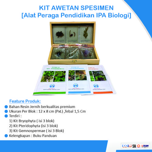 Jual Kit Awetan Spesimen-Bryophyta-Pteridophyta-Gemnospermae (Original ...