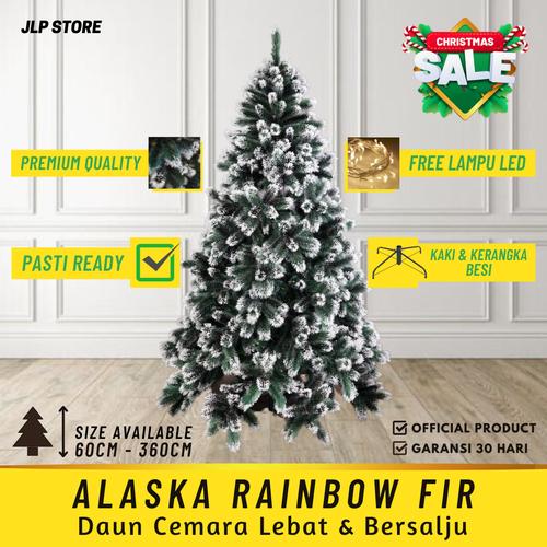 Promo Pohon Natal 1 Meter / 1.2m 120Cm 4Ft ALASKA RAINBOW FIR CHRISTMAS ...