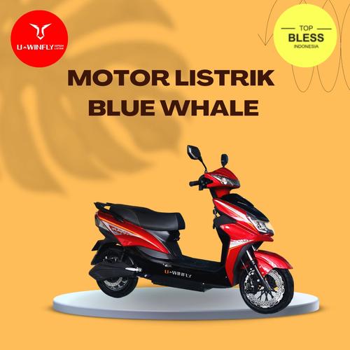 Jual TOP Sepeda Motor Listrik Uwinfly Bw BW Garansi Resmi By Uwinfly ...