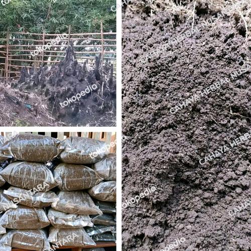 Jual Media Tanah Humus Bambu per 1kg - Kab. Bandung - CAHAYA HERBAL ...