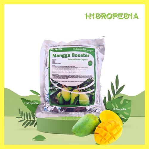 Jual Pupuk Organik Pelebat Buah Mangga Booster Berkualitas Hidropedia - Kota Cirebon ...