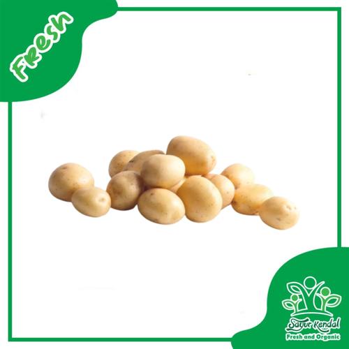 Jual Kentang Mini - Sayur Kendal - 500gr - Jakarta Pusat - Sayur Kendal ...