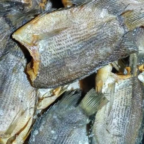 Jual Ikan Sepat Asin Besar - 500 gram - Kab. Bekasi - Unlimited Wants ...