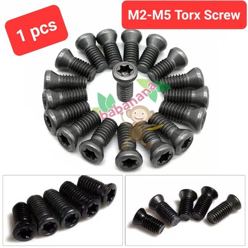 Jual Screw Torx M2-M5 Flat Head Hitam baut sekrup rata bintang 6 - M2 ...
