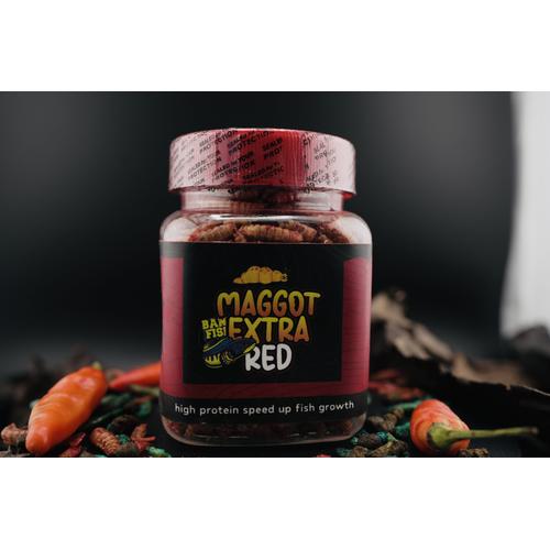 Jual MAGGOT SUPER +++ MAGGOT RED MAGGOT BLUE BANG FISH X FAJAR ARIEF ...
