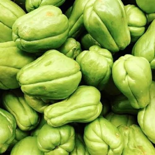 Jual labu siam 1kg/labu siam/labu/tokopedia now/buah labu/sayur labu ...