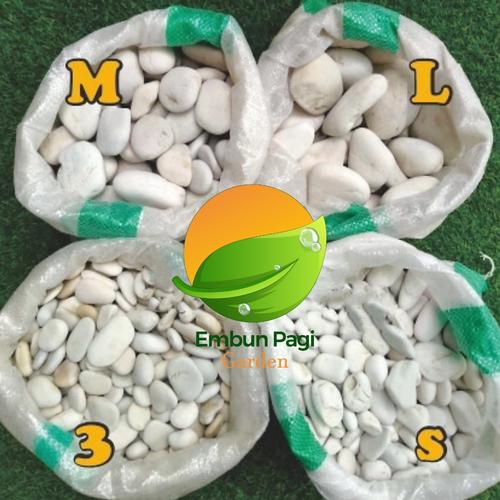 Jual Batu Koral Putih Kupang 10kg Hiasan Taman - Putih, S - Kab. Bogor ...