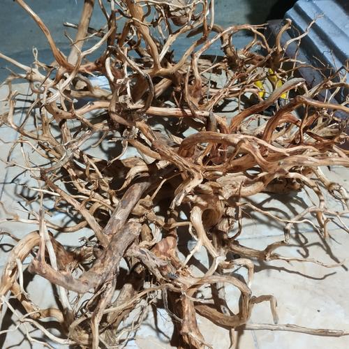 Jual kayu rasamala aquascape ukuran m - Kota Mojokerto - HR AQUA ...