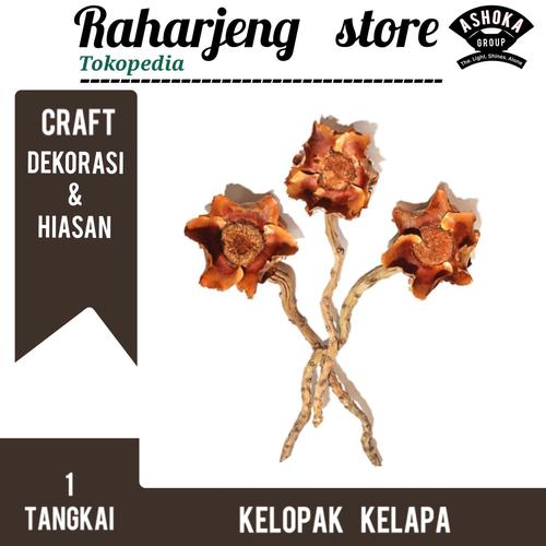 Jual 271/ Coconut flower petals | kelopak bunga kelapa craft rustic ...