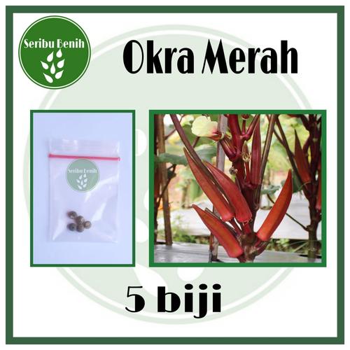 Jual 5 Benih Okra Merah Carmine Splendor Known You Seed -Bibit Sayur ...