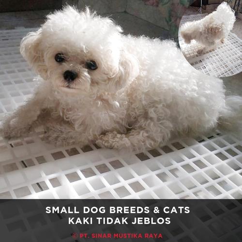 Jual Econo Slat - Lantai Pijakan Plastik - Alat Ternak Ayam Unggas - - Hitam - Jakarta Selatan ...