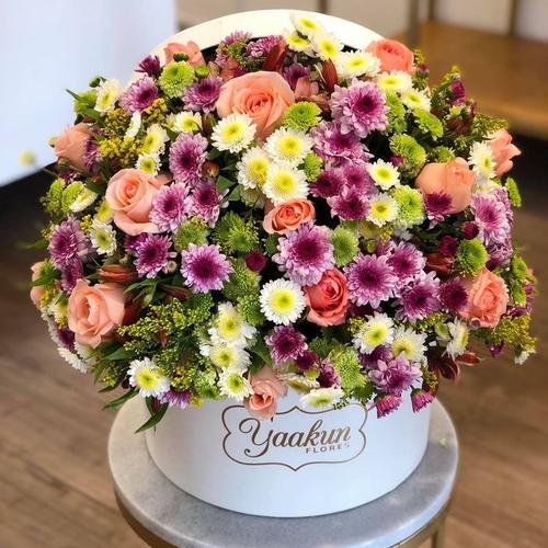 Jual Aster Set Bloom box bouquet bucket buket bunga segar taman roses ...