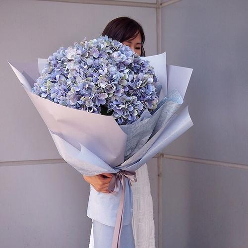 Jual Hydrangea XXL Bouquet Bucket Buket Bunga Wisuda Ultah Segar Fresh ...
