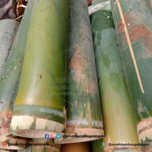 Jual Potongan Bambu Jawa Panjang 30 CM Per Ros Untuk Bahan Kerajinana ...