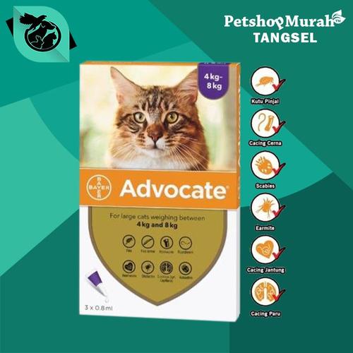 Jual Obat Tetes Kutu Cacing Tungau Flea Scabies Kucing Advocate 4 – 8 ...