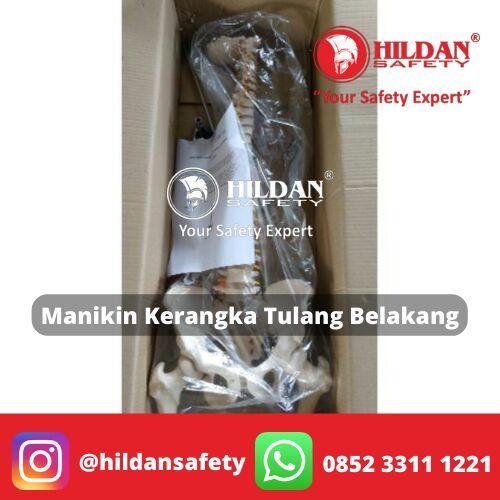 Jual PHANTOM MANIKIN KERANGKA TULANG BELAKANG GUANLONG - Jakarta Barat ...