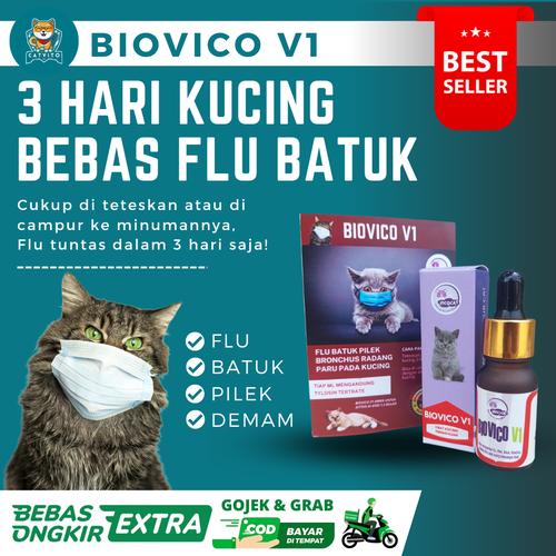 Jual obat flu batuk pilek kucing dan kitten biovico v1 ampuh aman ...