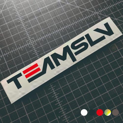 Jual Stiker teamslv cuting sticker viral motor 1pcs - hologram - Kab ...