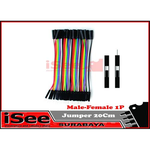 Jual 10pin 20cm Male to Female cable JUMPER dupont per kabel 1 helai 1p ...