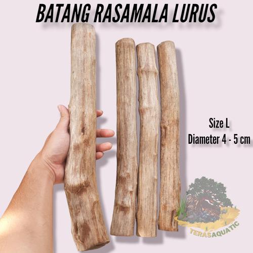 Jual Batang Kayu Rasamala Lurus Aquascape Jungle - S - Kota Denpasar ...