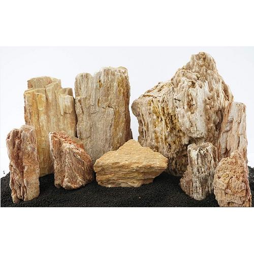 Jual Batu Fosil Kayu Aquascape/Kolam/taman 1kg - Kota Depok - Surya ...