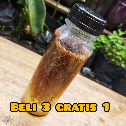 Jual KEMASAN PUPUK JAMUR JAKABA FULL SATU BOTOL KALE plastik 250 ml ...