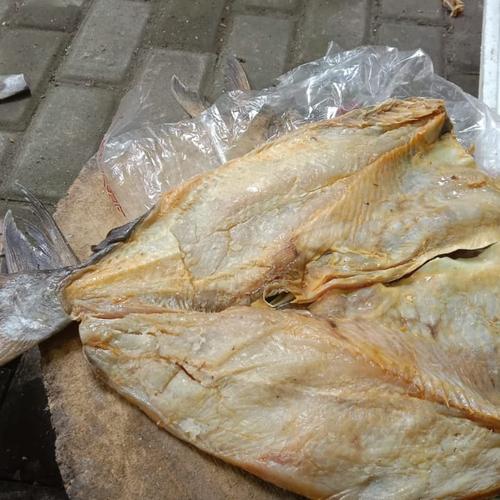Jual ikan asin jambal roti super Asli termurah 1 kg - Kab. Pangandaran ...